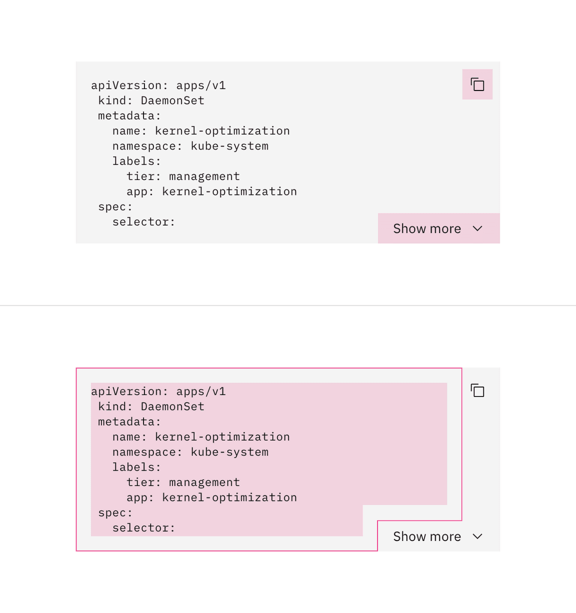 Code Snippet Carbon Design System